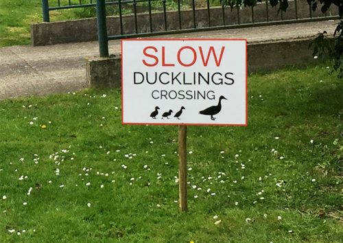 A2 Stickers Printing - self adhesive waterproof A2 prints, online service