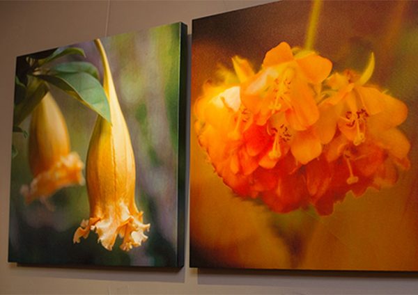 12x12 Canvas Prints - wrapped canvas 12x12 inch print, photos, artwork